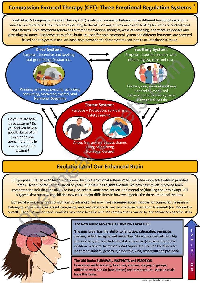 Compassion-Focused Therapy Handout Bundle PDF Version | Based on clinically validated interventions.