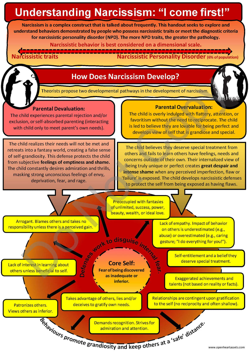 Understanding Narcissism Handout Bundle - PDF Version | Based on ...