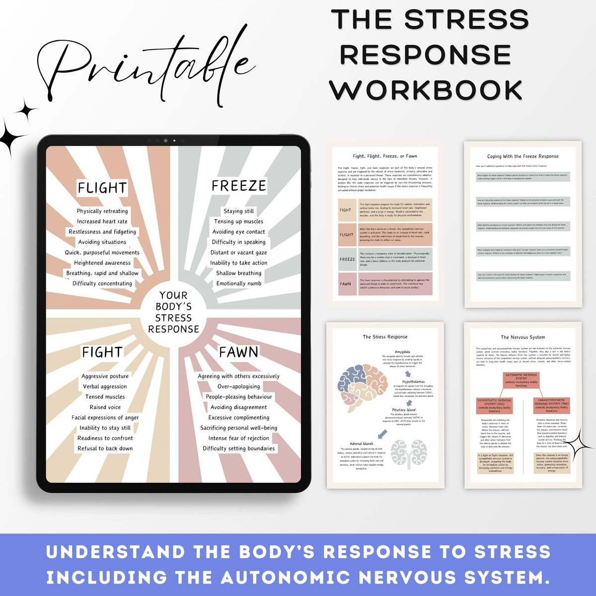 The Stress Workbook Bundle | Based on clinically validated interventions.