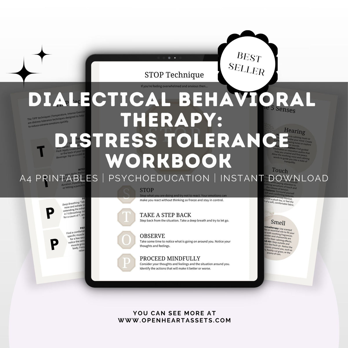 DBT Distress Tolerance Workbook | Based on clinically validated ...