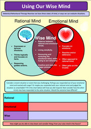 Dbt Wise Mind Handout Pdf Based On Clinically Validated Interventions