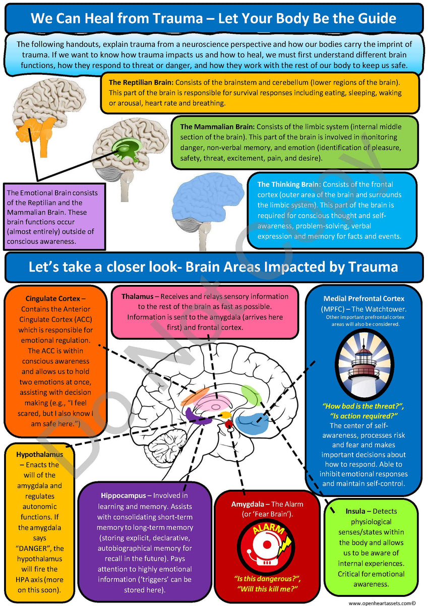 We Can Heal from Trauma - Our Bodies Hold the Guide | Based on ...