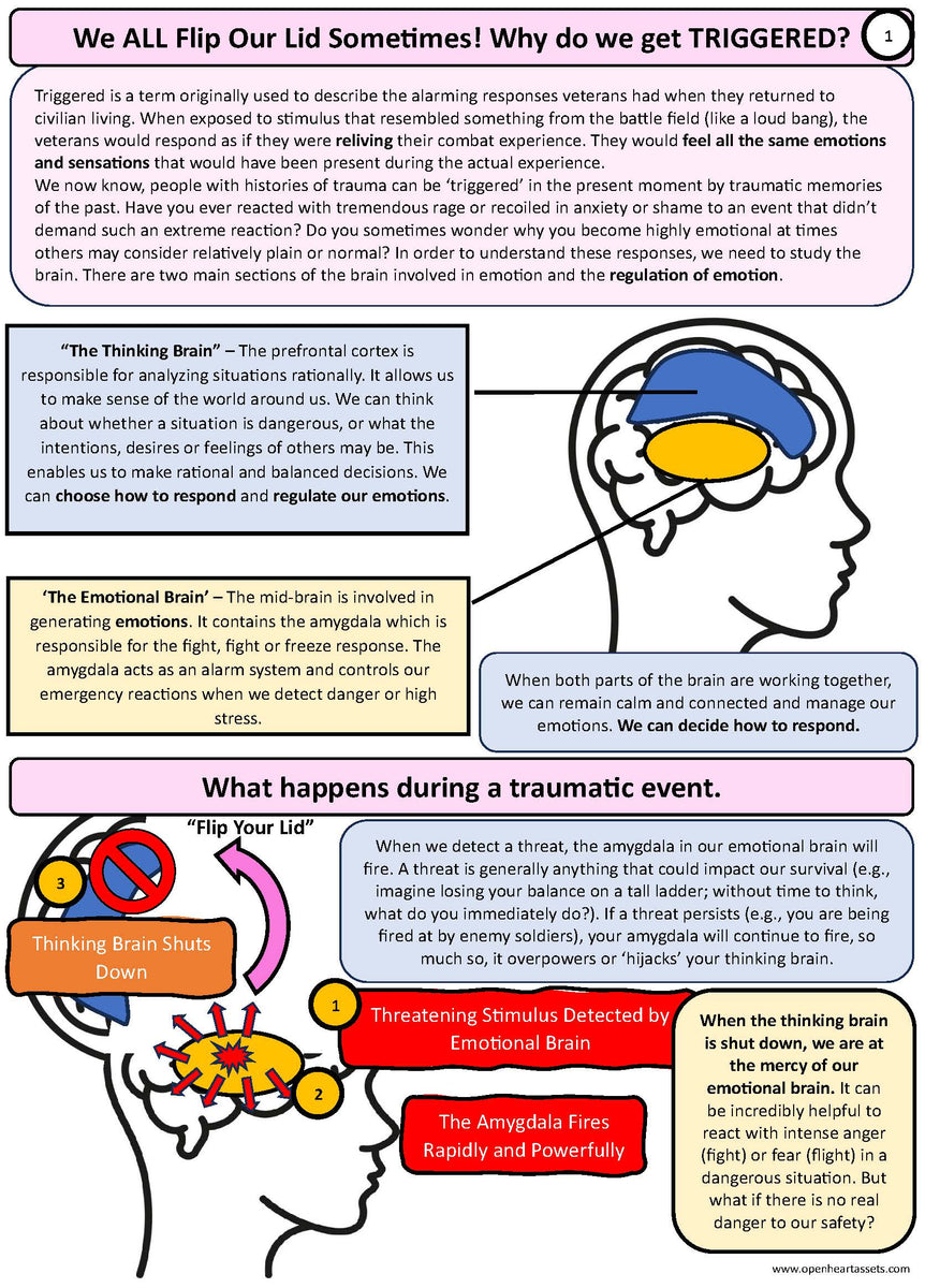 Why do we get triggered? PDF Version | Based on clinically validated ...